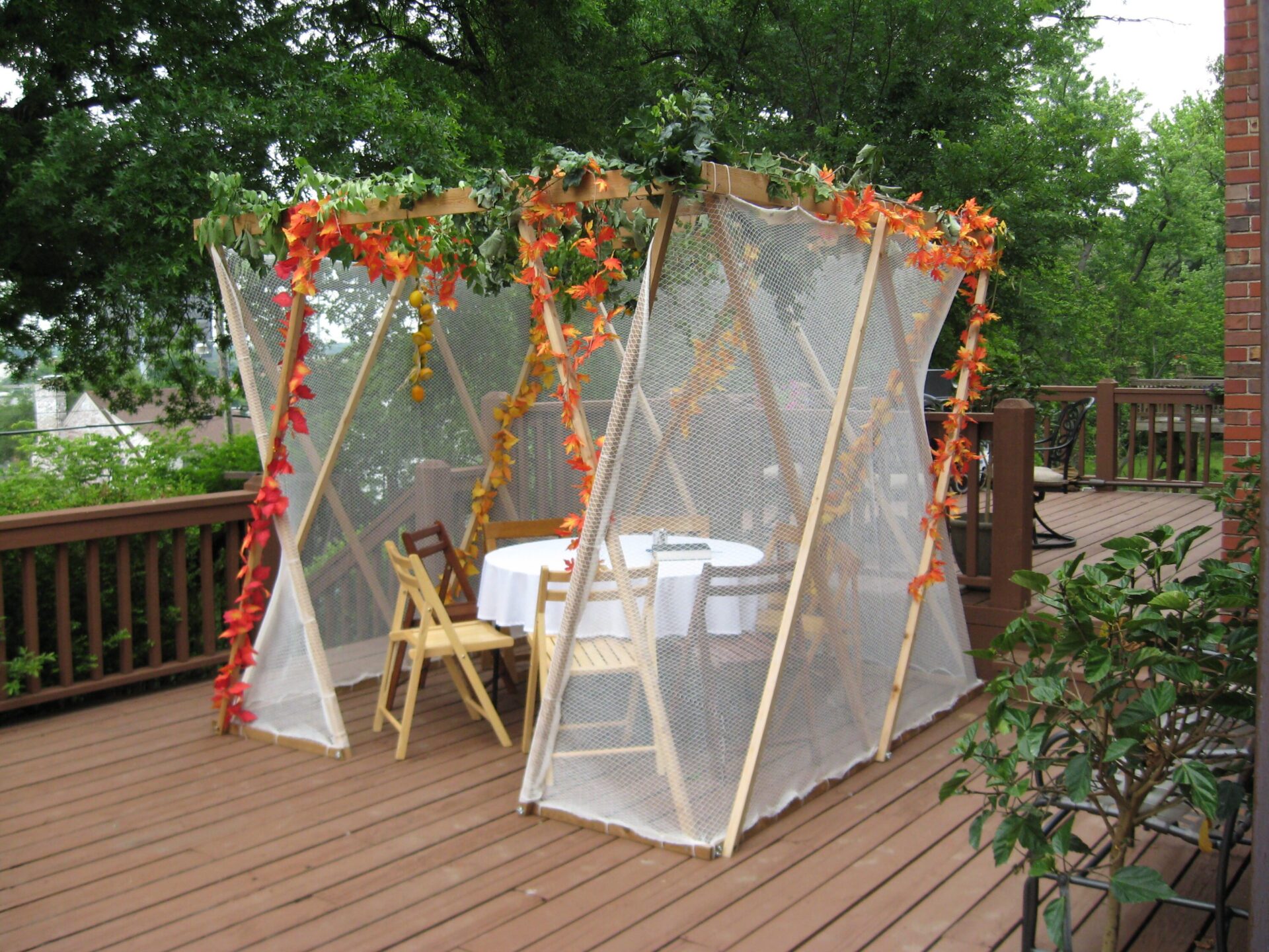 Cómo celebrar Sukot - ¡Un Rudo Despertar!