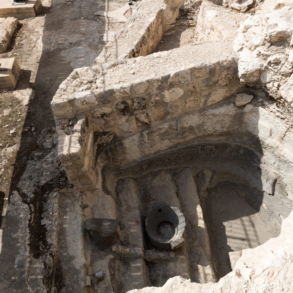 Shamaim (שָׁמַיִם) - Cielos - ¡Un Rudo Despertar!