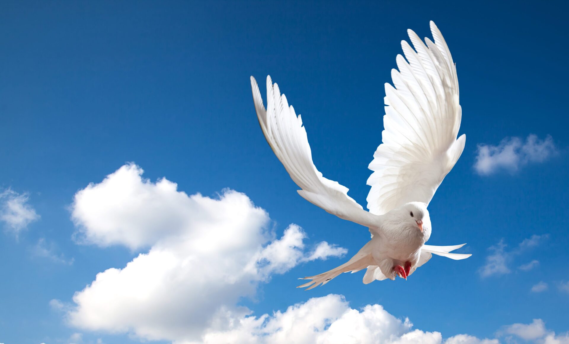 Rúaj haKodesh - El Espíritu Santo - ¡Un Rudo Despertar!